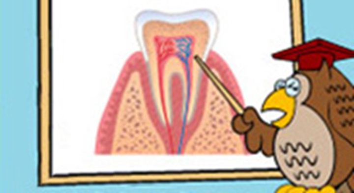 Lesson Plans | MouthHealthy - Oral Health Information from the ADA
